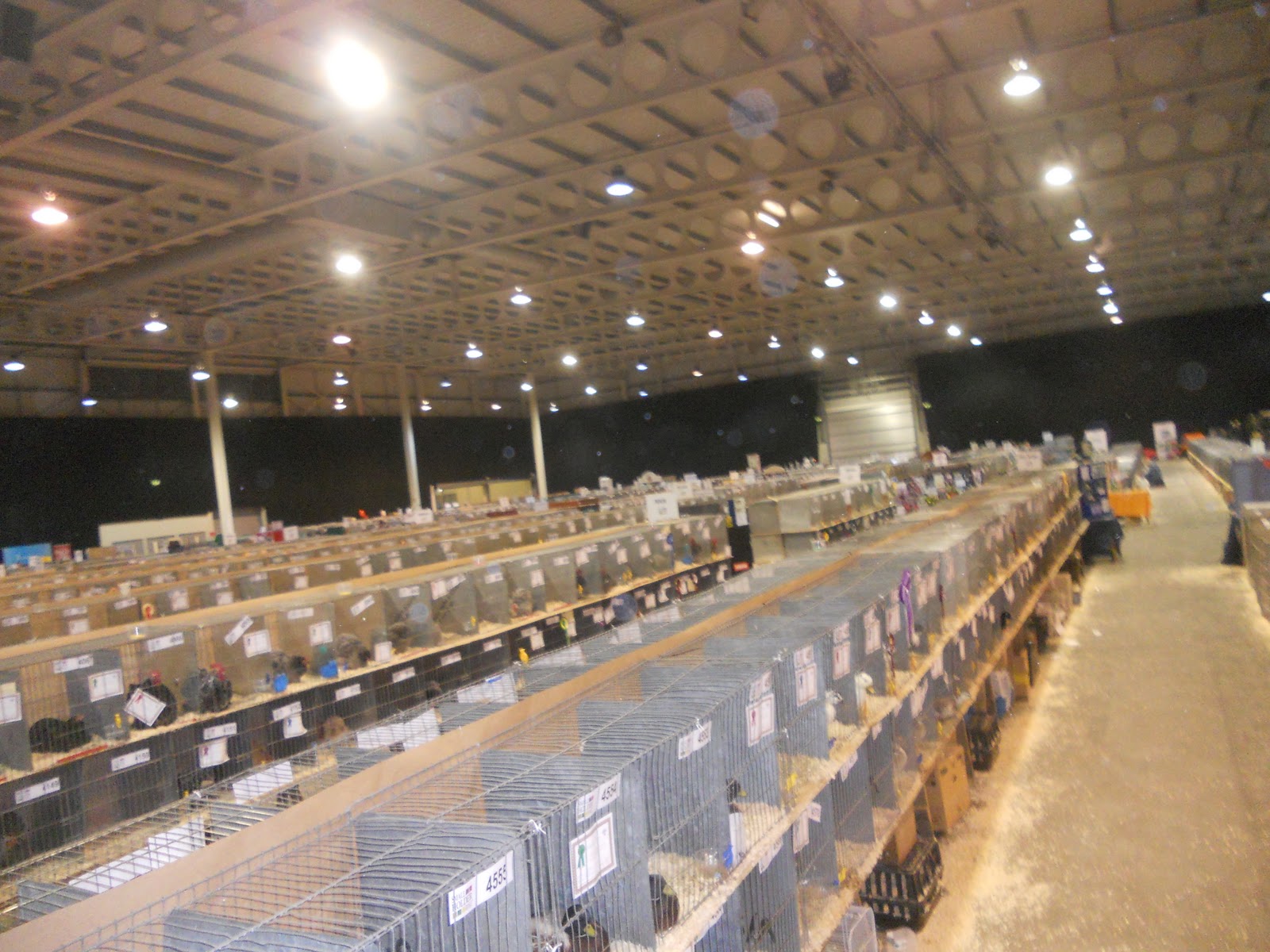 Lewis' Blog: National Poultry Show 2010