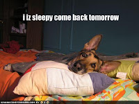 Pura Vida Mentoring: The Long Unending Line