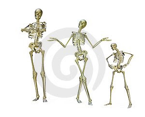 Skeletos