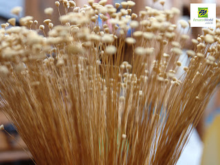 ALRocha-antenacultural: A arte com Capim Dourado