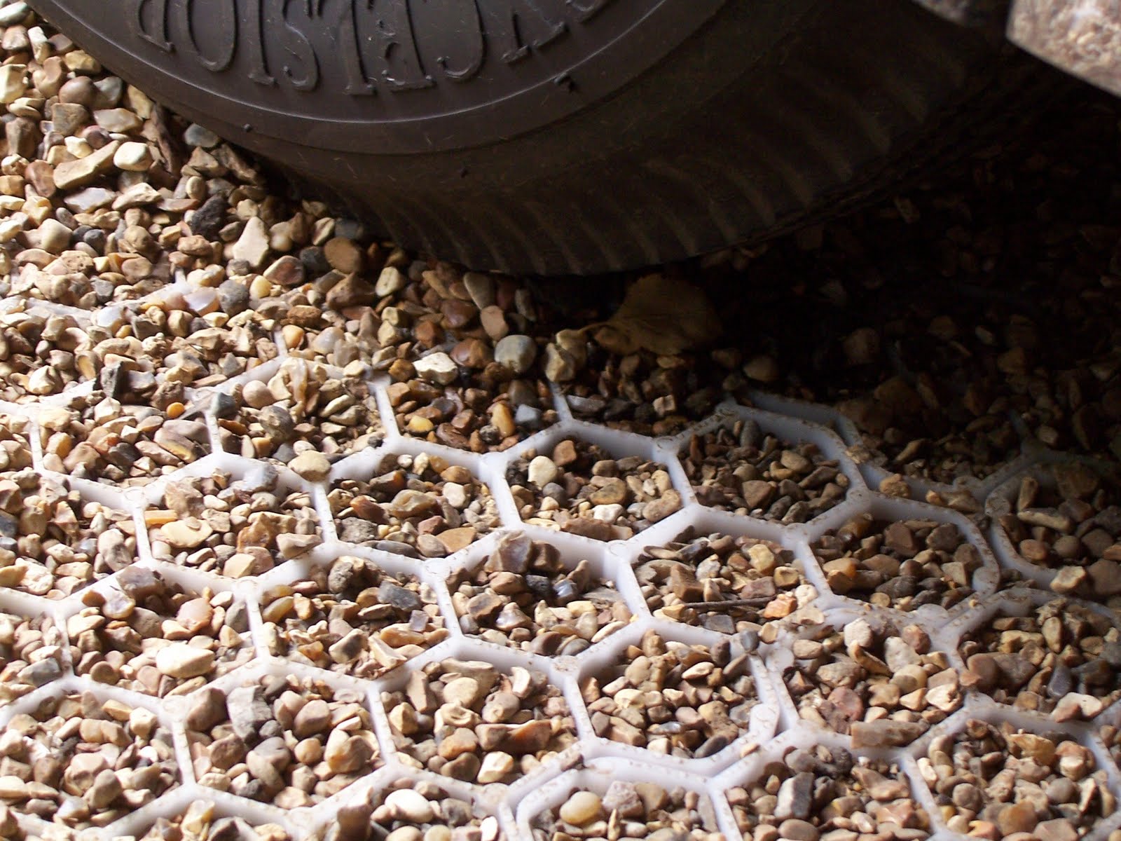 Rainbow Professional: Hexapath