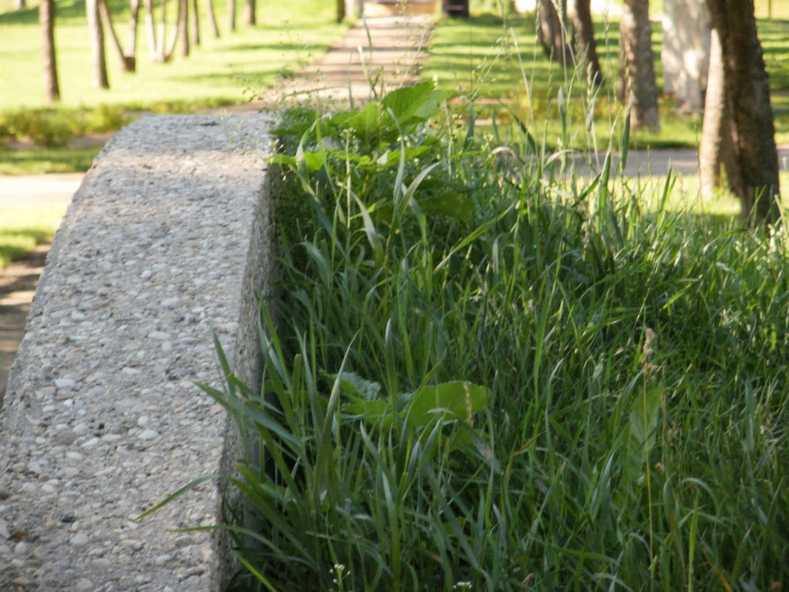 Forever remember: Sir Winston Churchill Memorial Park Edmonton Garrison