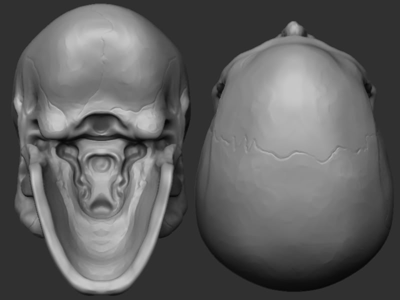 Karthik: Skull Sculpted in Zbrush