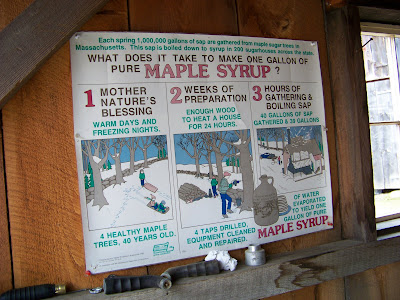 The Frog Blog: Sugar Shack Field Trip Redux!