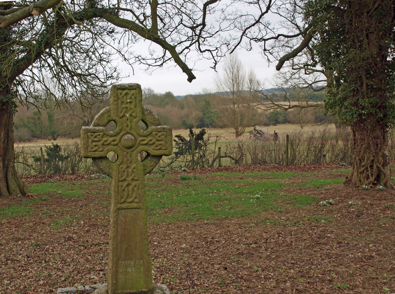Churches and family tree: Bush End, Essex