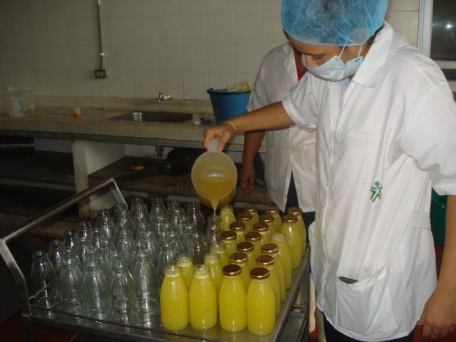 NECTAR DE CHOLUPA HIPOCALORICO