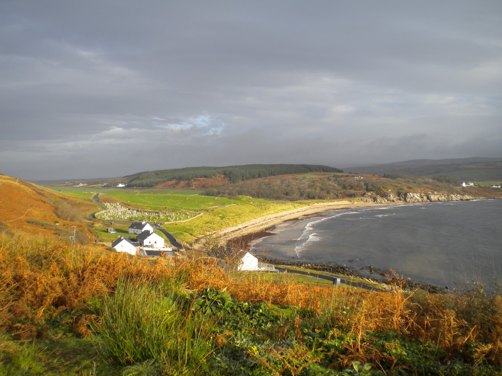 Islay Natural History Trust: Winter colours