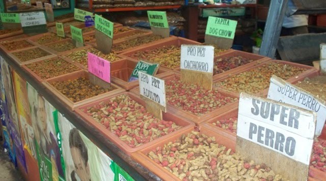 Desde Cartago: A 1500 el pejivalle