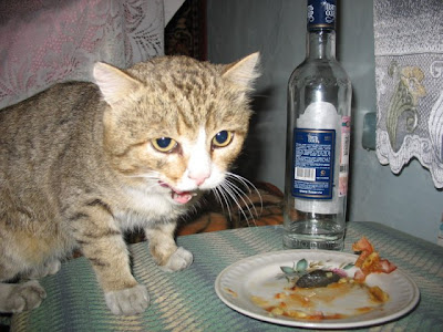 Curious, Funny Photos / Pictures: Alcohol and cats - 23 Pics