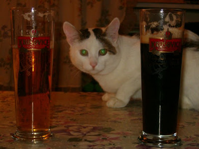 Curious, Funny Photos / Pictures: Alcohol and cats - 23 Pics