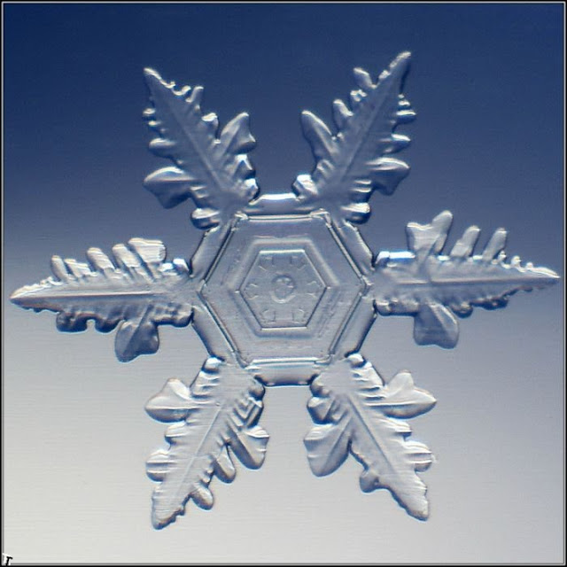 Fotos- Flocos de Neve ~ Dicas Grátis 2020