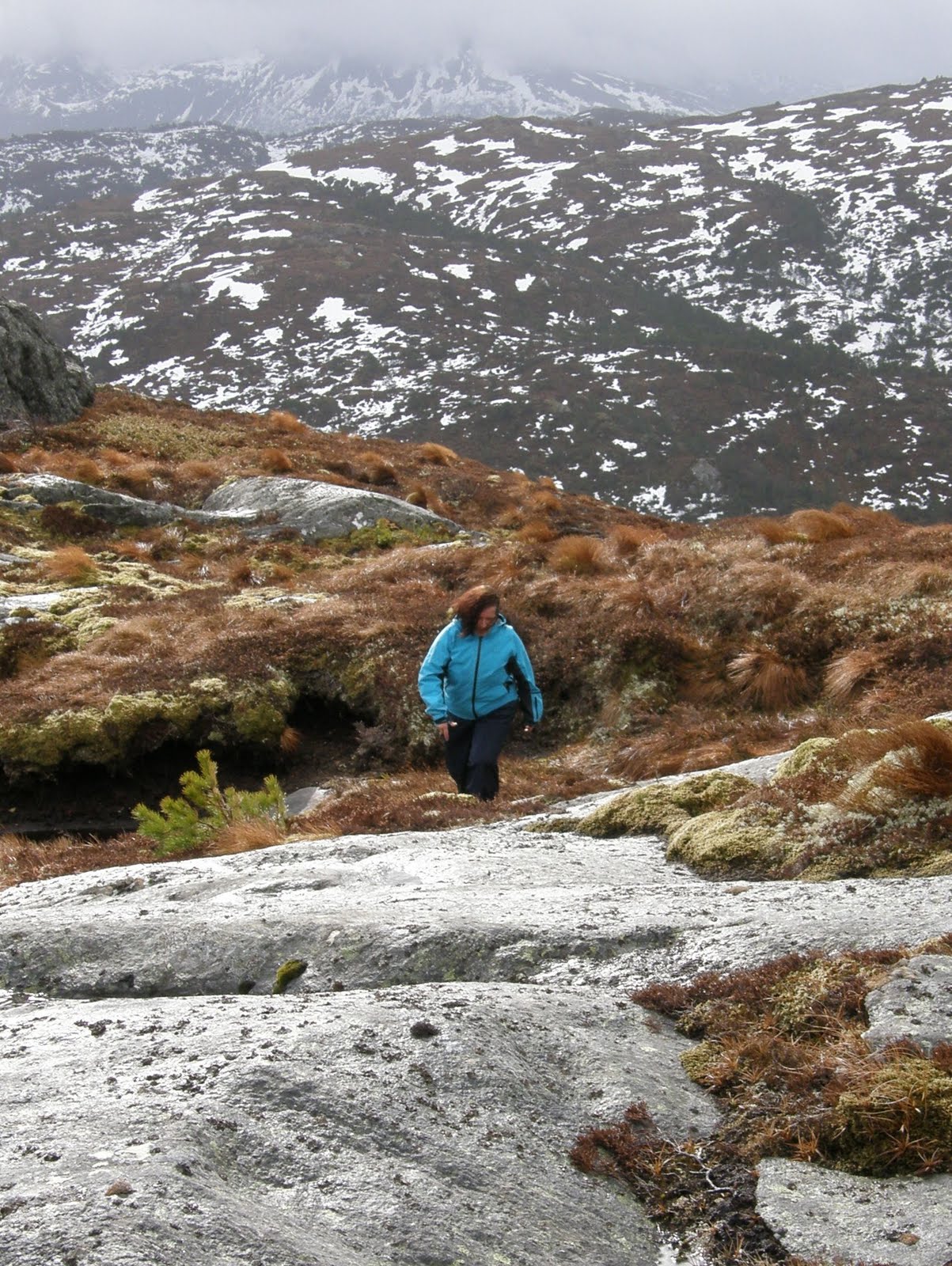 Kompassrosa : " Et hav av muligheter " i Averøy: FJELLTURER - APRIL 2010