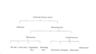Classification of Chemical Releasing Stimuli/ Insect Pheromones ...