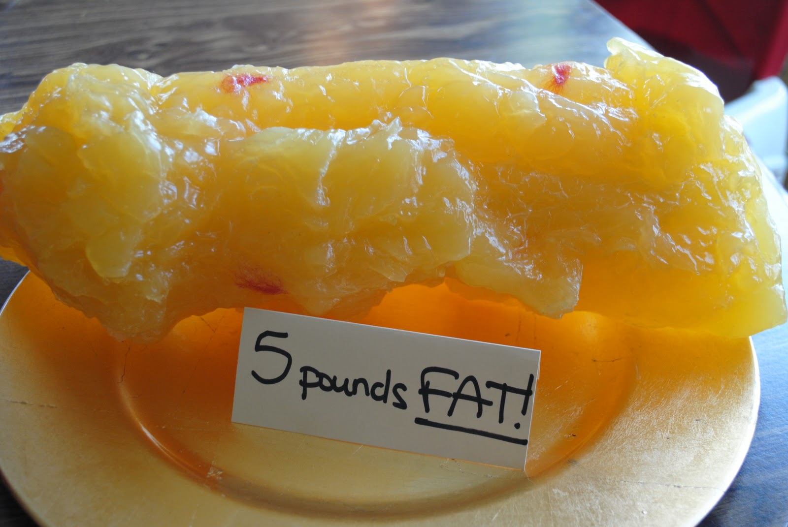 wealth-for-my-health-challenge-lincoln-fat-vs-muscle