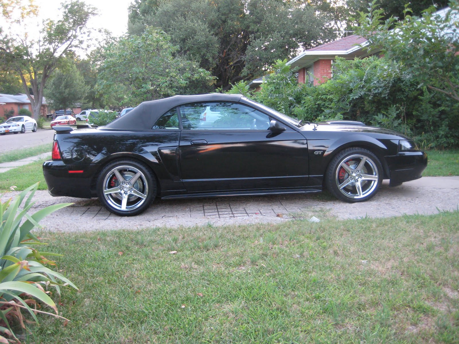 Whiteboy's Mustangs: 2003 Mustang GT convertible/Now saleen clone