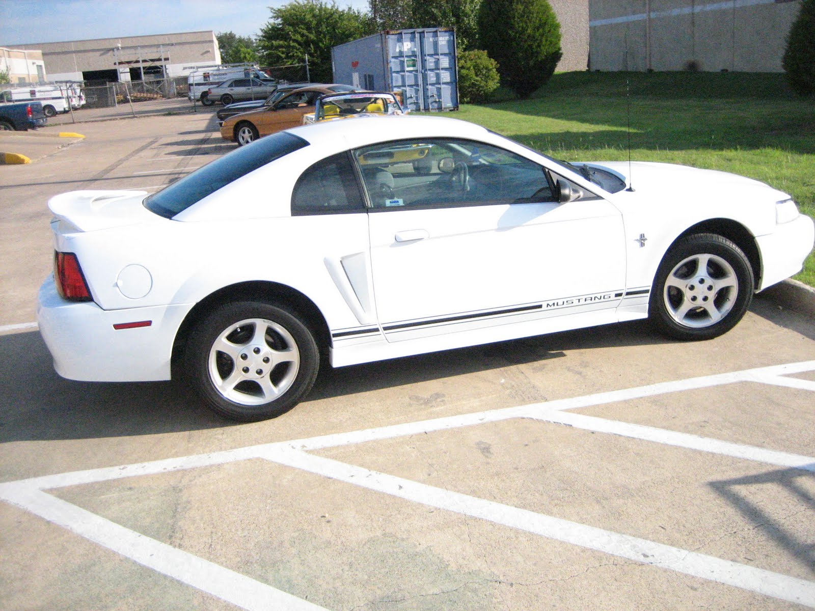 Whiteboy's Mustangs: 2000 Mustang v6 5spd