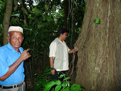 ADUN N6 TEMPASUK KOTA BELUD SABAH: SEJARAH PERANG PANDASAN PERLU ...