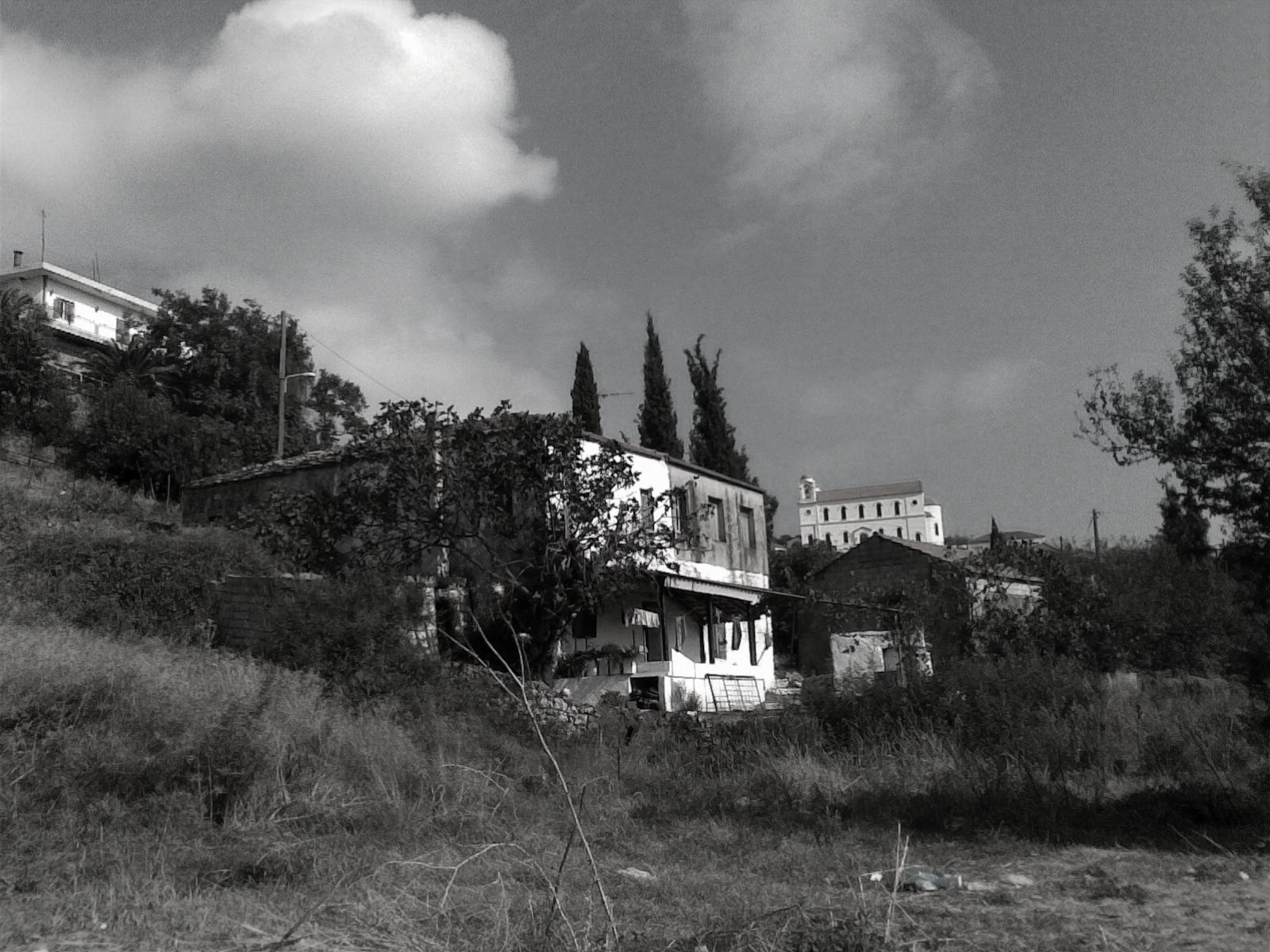 ART POETICA Couvelis: FITIES [ΦΥΤΕΙΕΣ] ΜΑΧΑΛΑ ΞΗΡΟΜΕΡΟ [Μεσα απο τον ...