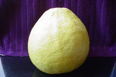 The Avery Adventure: The Pomella