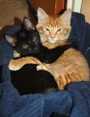 abrazados - DE TODO UN POCO