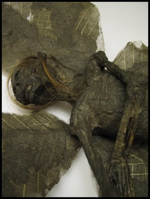 Coisas bizarras (e outras surreais): uma fada de verdade?????