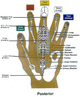 Wyldestone Cottage: Hand Diagnosis, What Your hands say about Your Health