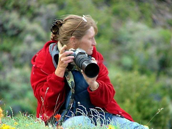 Images Of The Vanishing West: "Mustang Trail" by Arla M. Ruggles ...