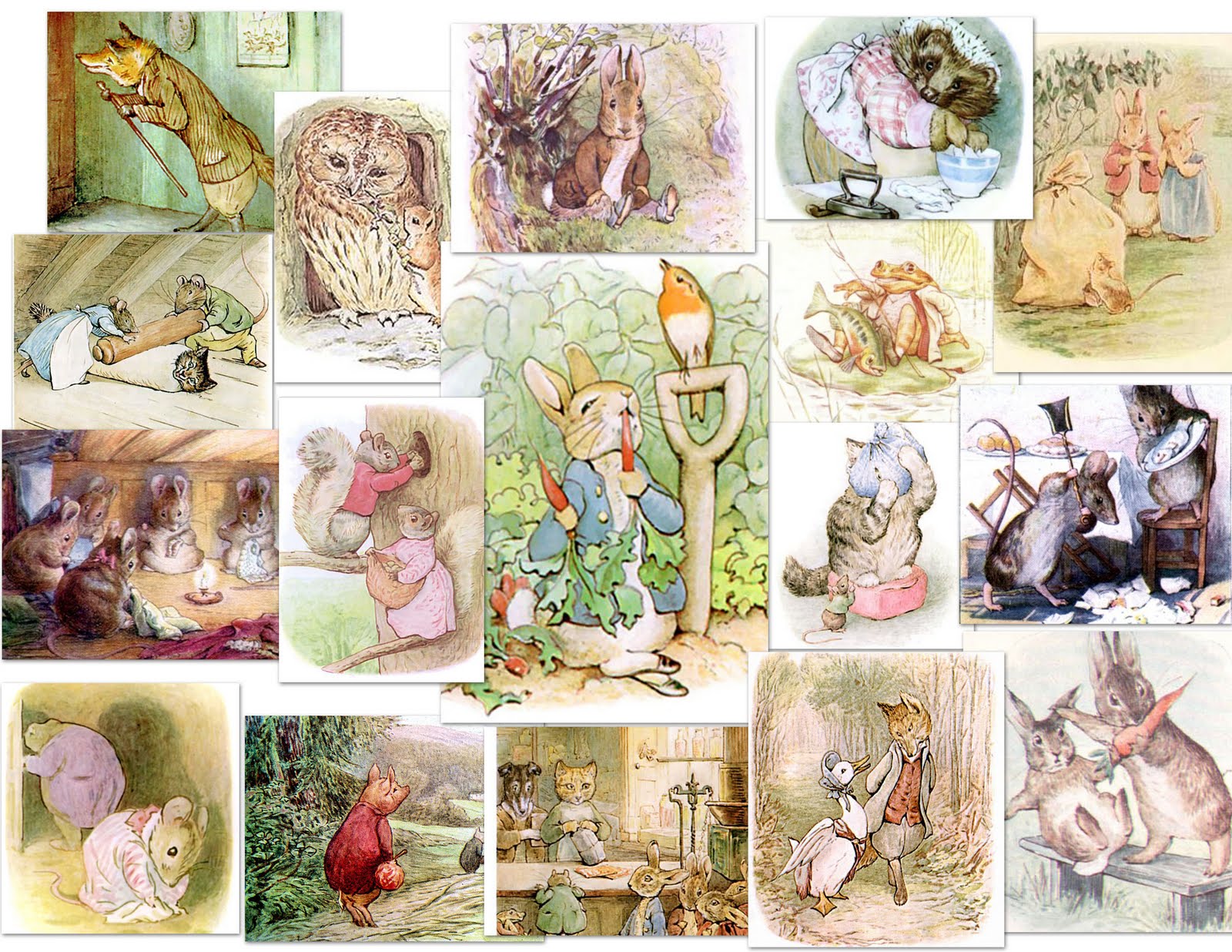 beatrix potter | Children's Book Illustrations & Illustrators ...