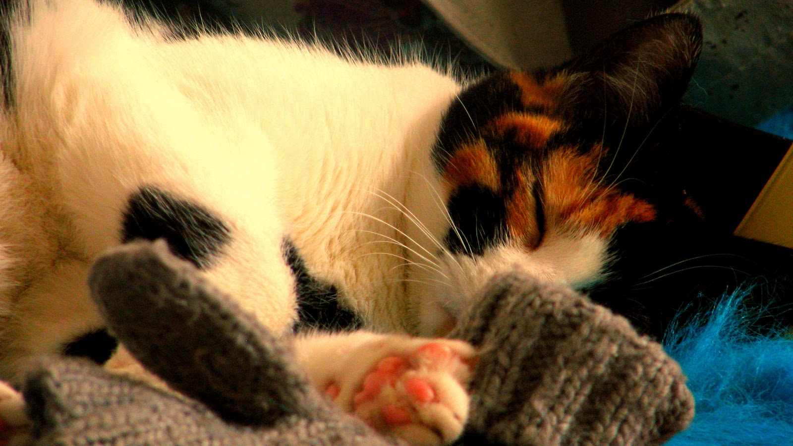 B³ - Briggs, Bandit, Booger