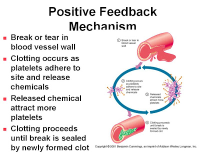 Biomedical Engineering: FEEDBACK CONTROL SYSTEM IN HUMAN