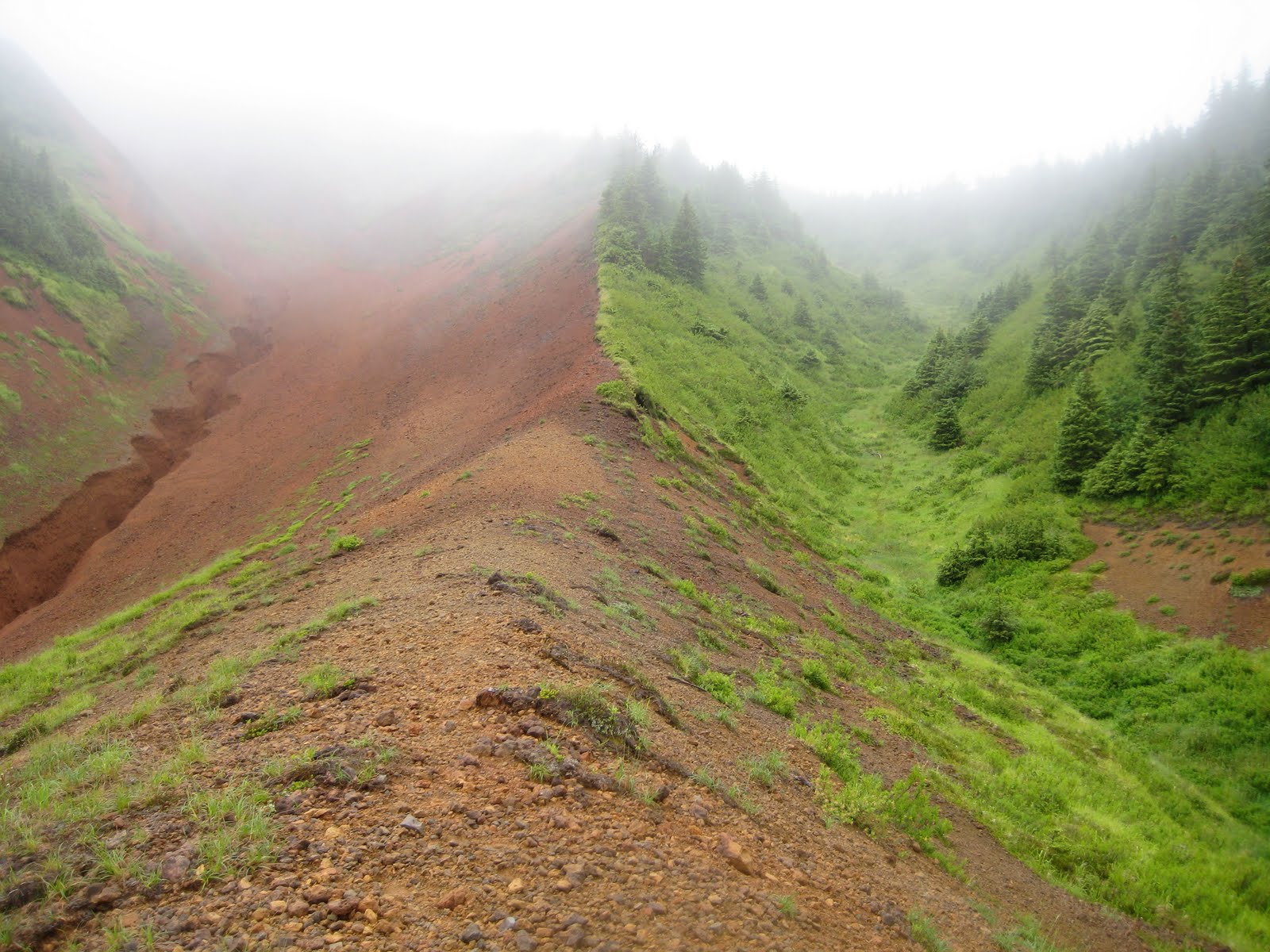 a walk in the woods: Mt. Edgecumbe Trip