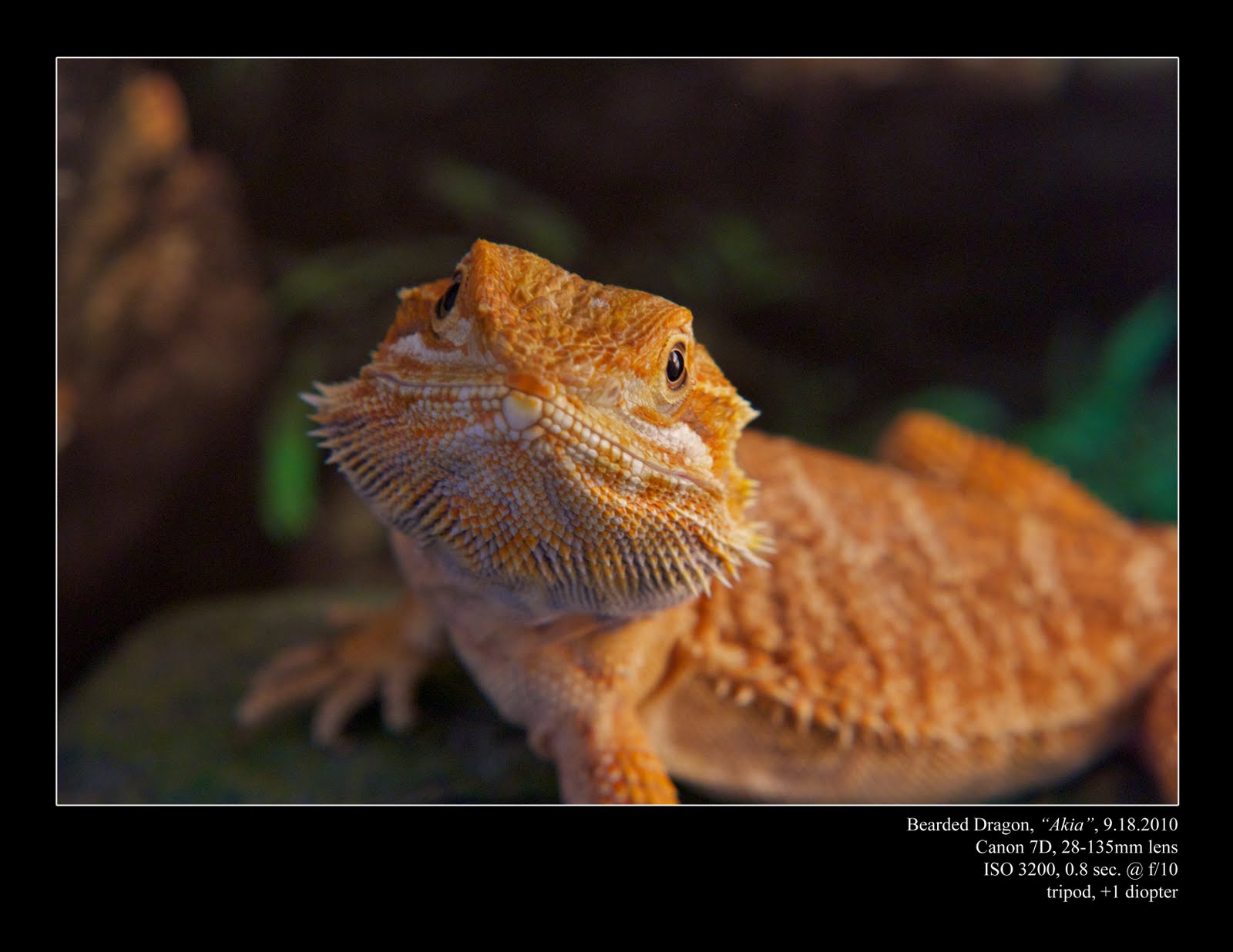 Jose Marin: Photography