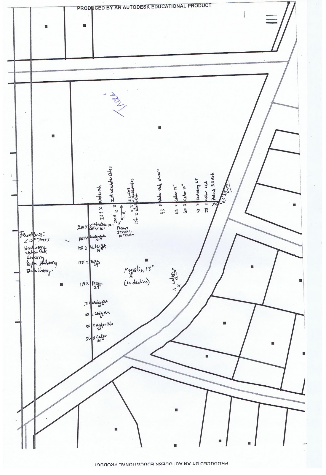 Landscape Architecture: Whitfield Design Inventory