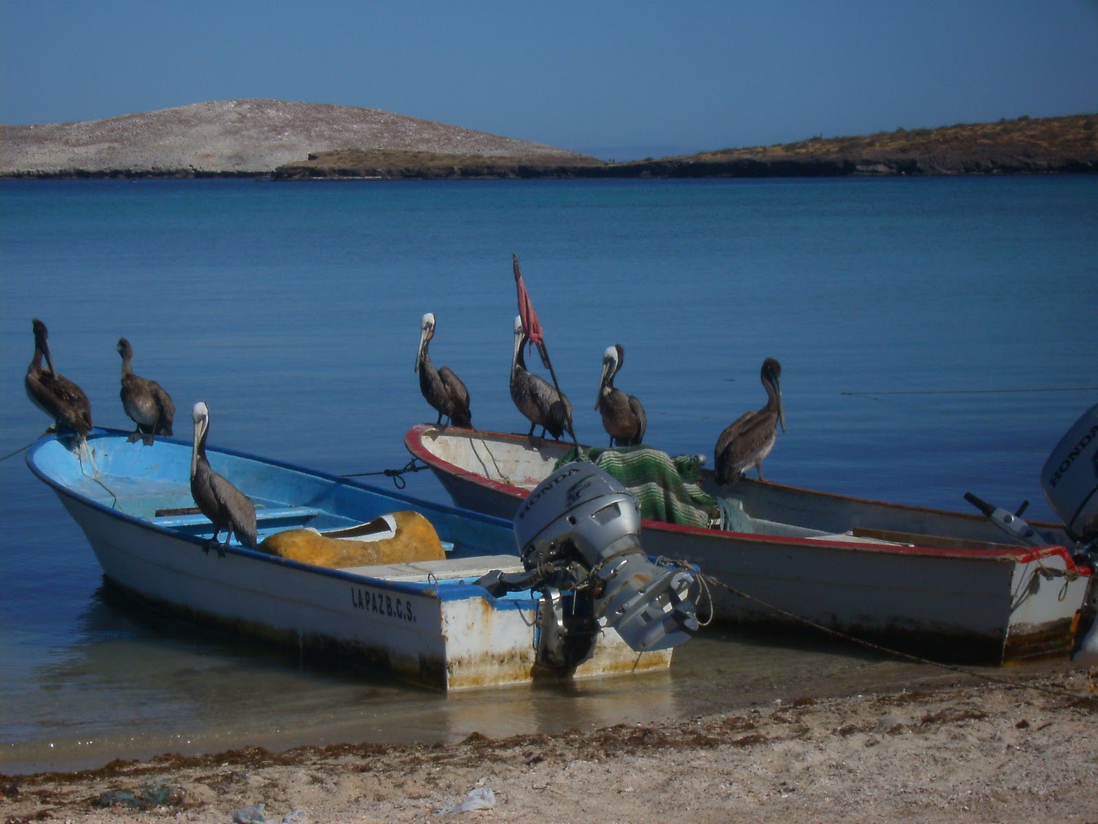 Turismo Alternativo en Baja California Sur: ¿Que es el Turismo Alternativo?