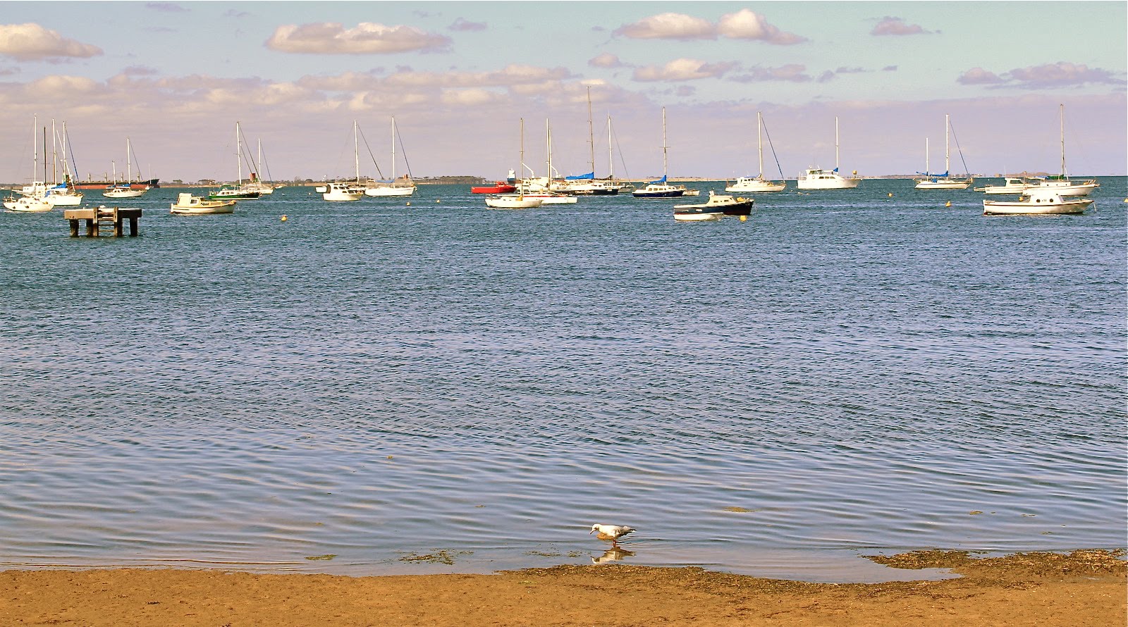 My Melbourne Experience, and beyond: along the shores of corio bay ...