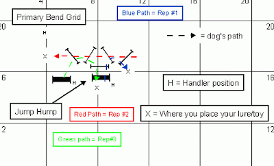 Raven, Cypher & Spryte - An Agility Blog: Cathy Slot Jumping Weekend