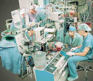 Shiamtafa: Perfusionist