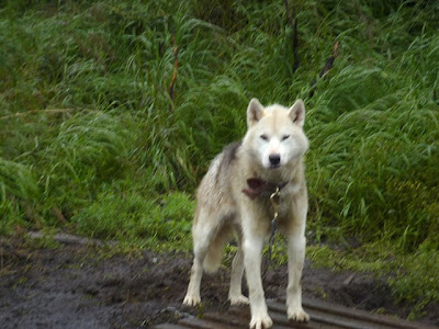instantplaces-canadawide: makkovik labrador : canadawide day 5