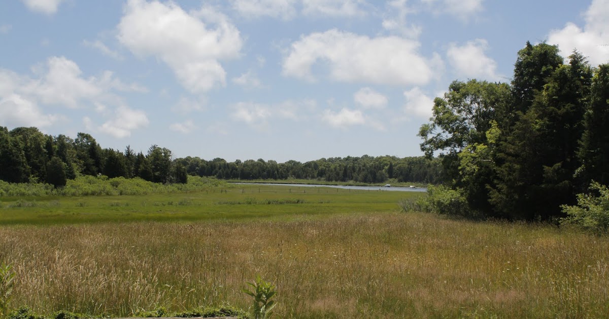 Library Arts: A visit to the Pollock/Krasner House!