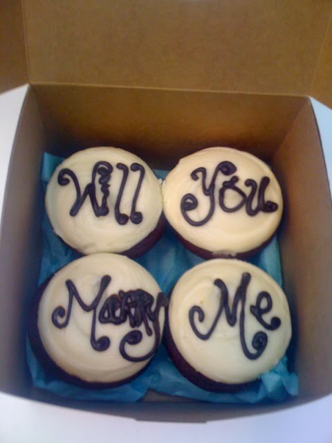 The Cupcake Activist: Cupcake Proposal