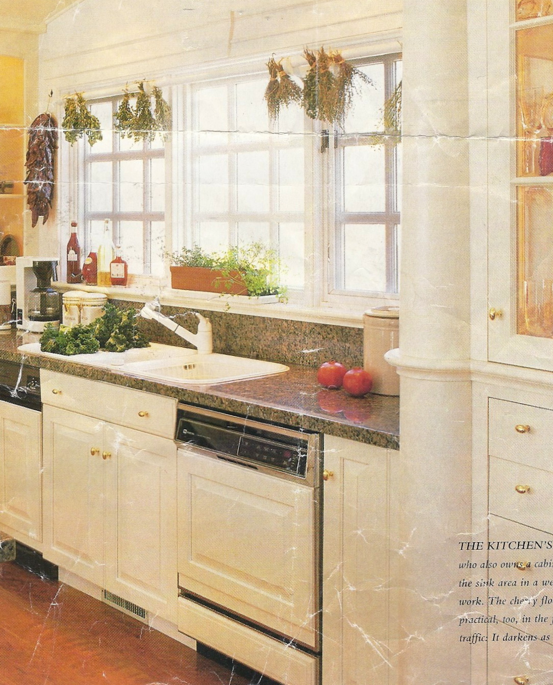Sherri Cassara Designs: My future kitchen
