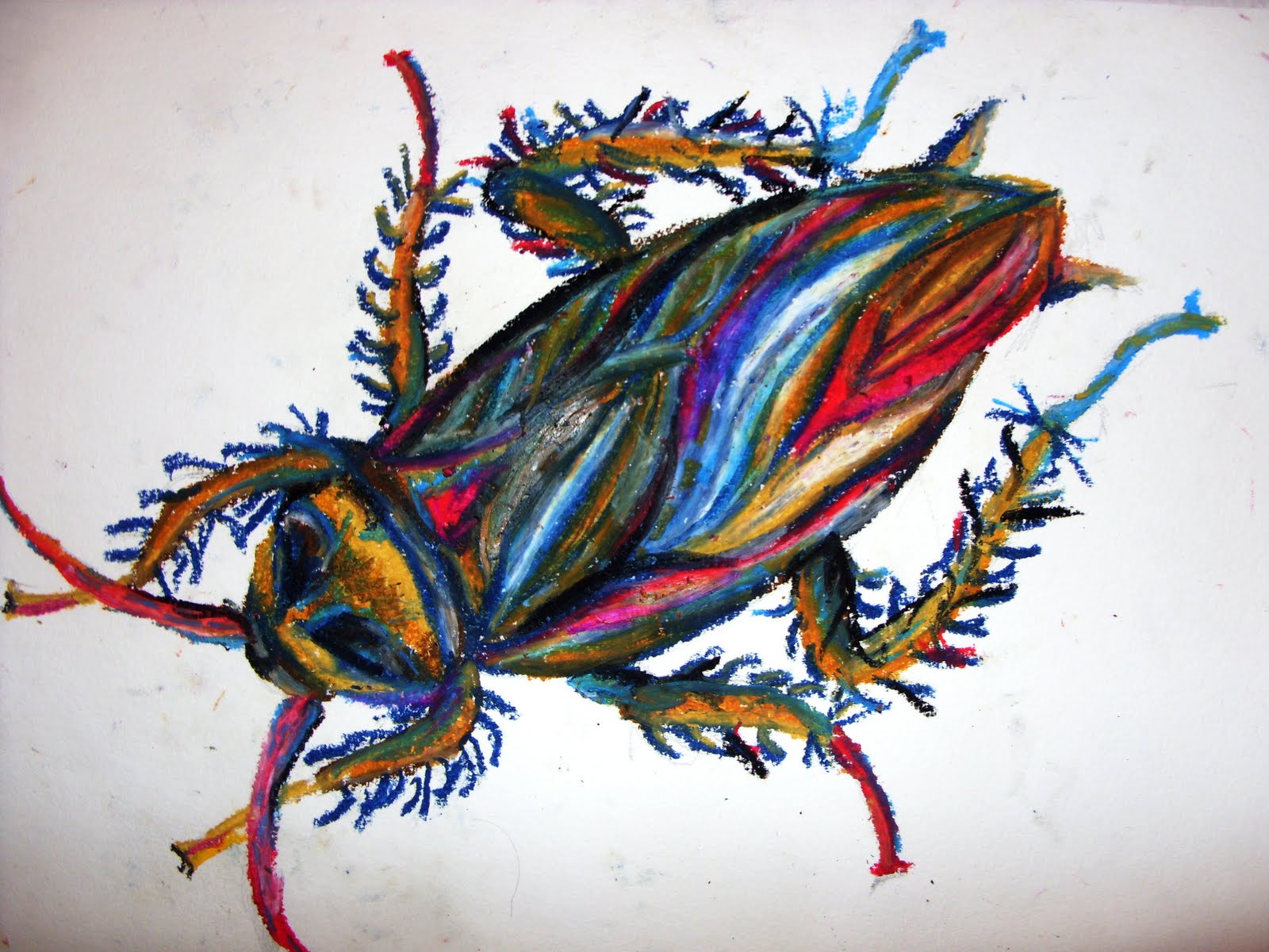 Sapphia's illustration: if god was a cockroach