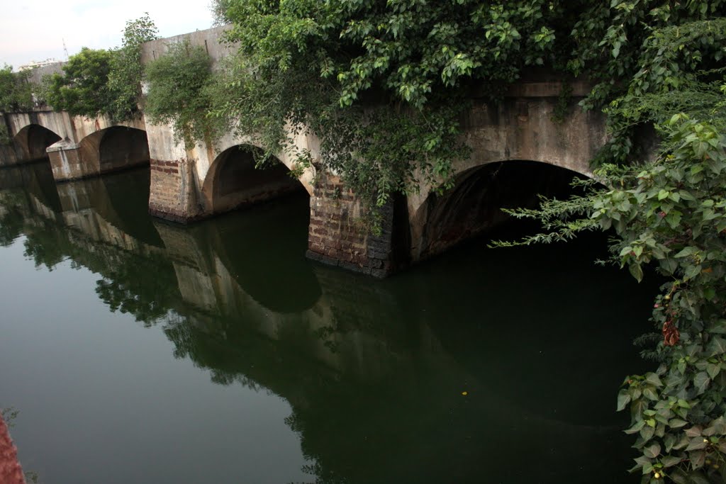 Metro Views: Last bridge over river Adyar
