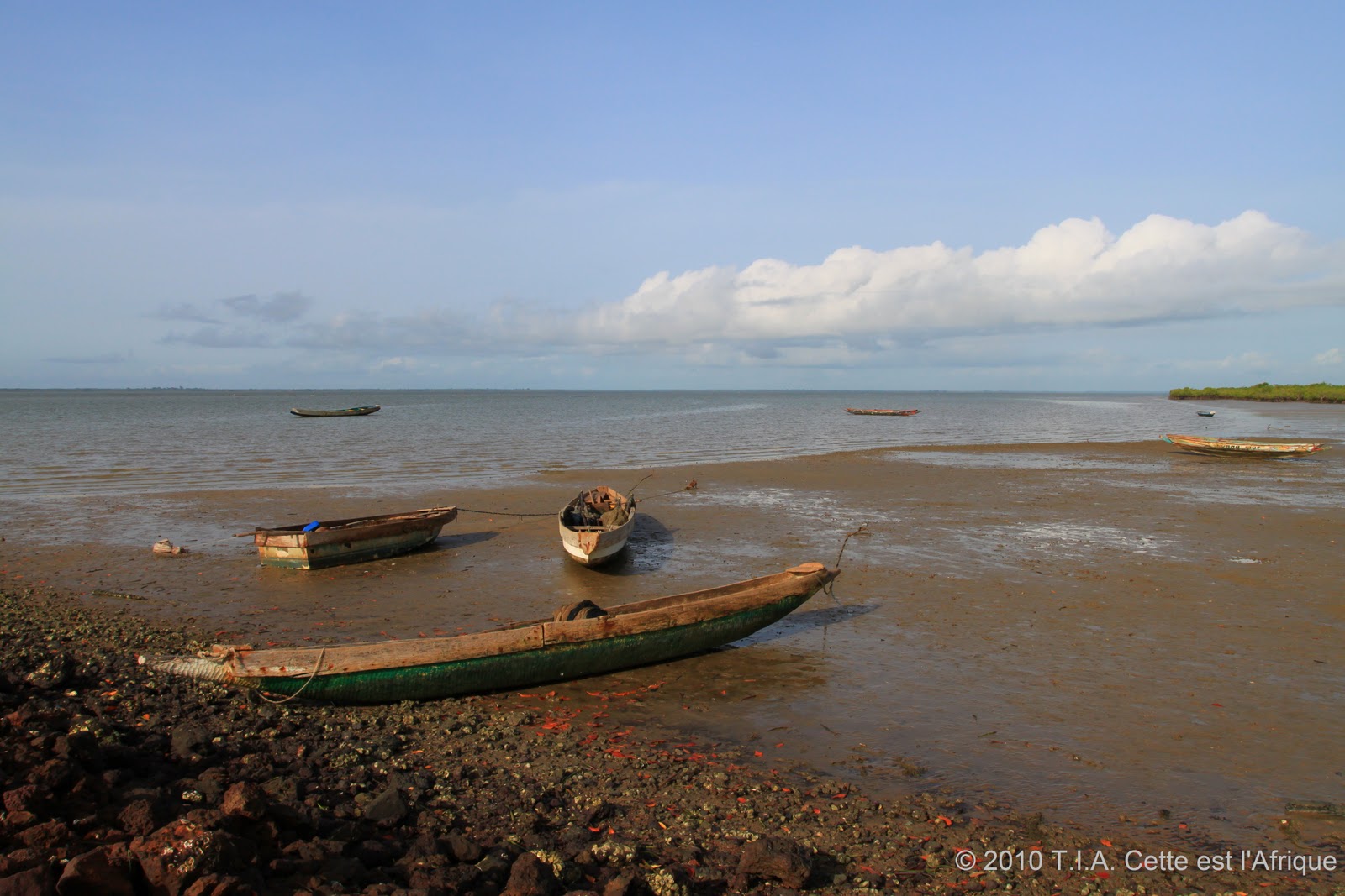 TIA : Cette est l'Afrique: Juffureh, The Gambia