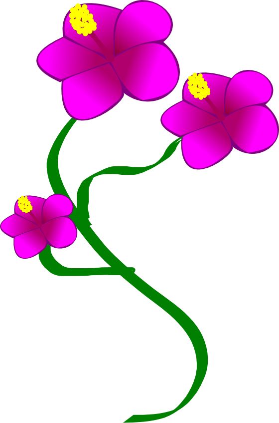 Flor png - Imagui