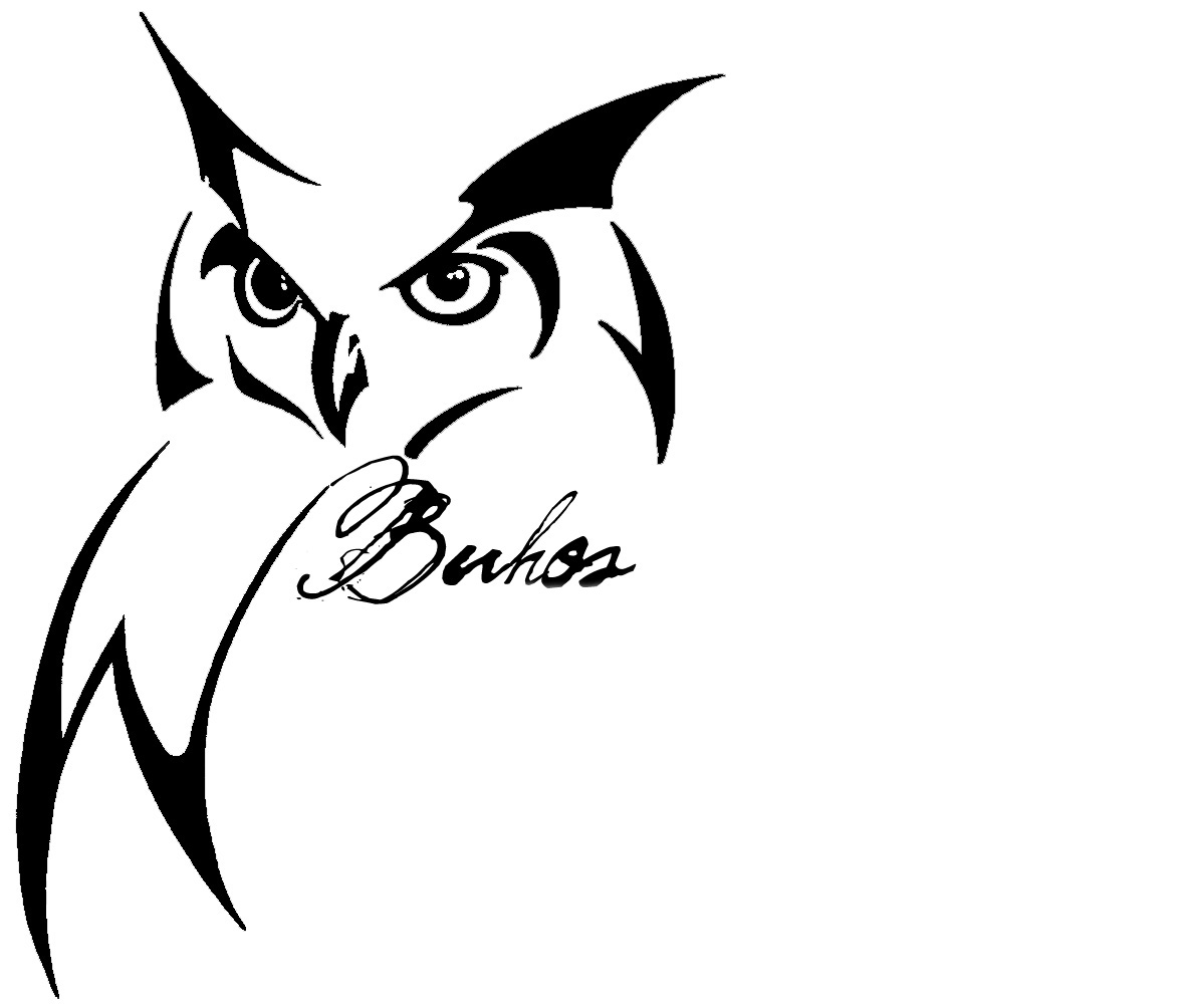 Pin by villa chacao on buho | Barn owl tattoo, Owls drawing, Skull art ...