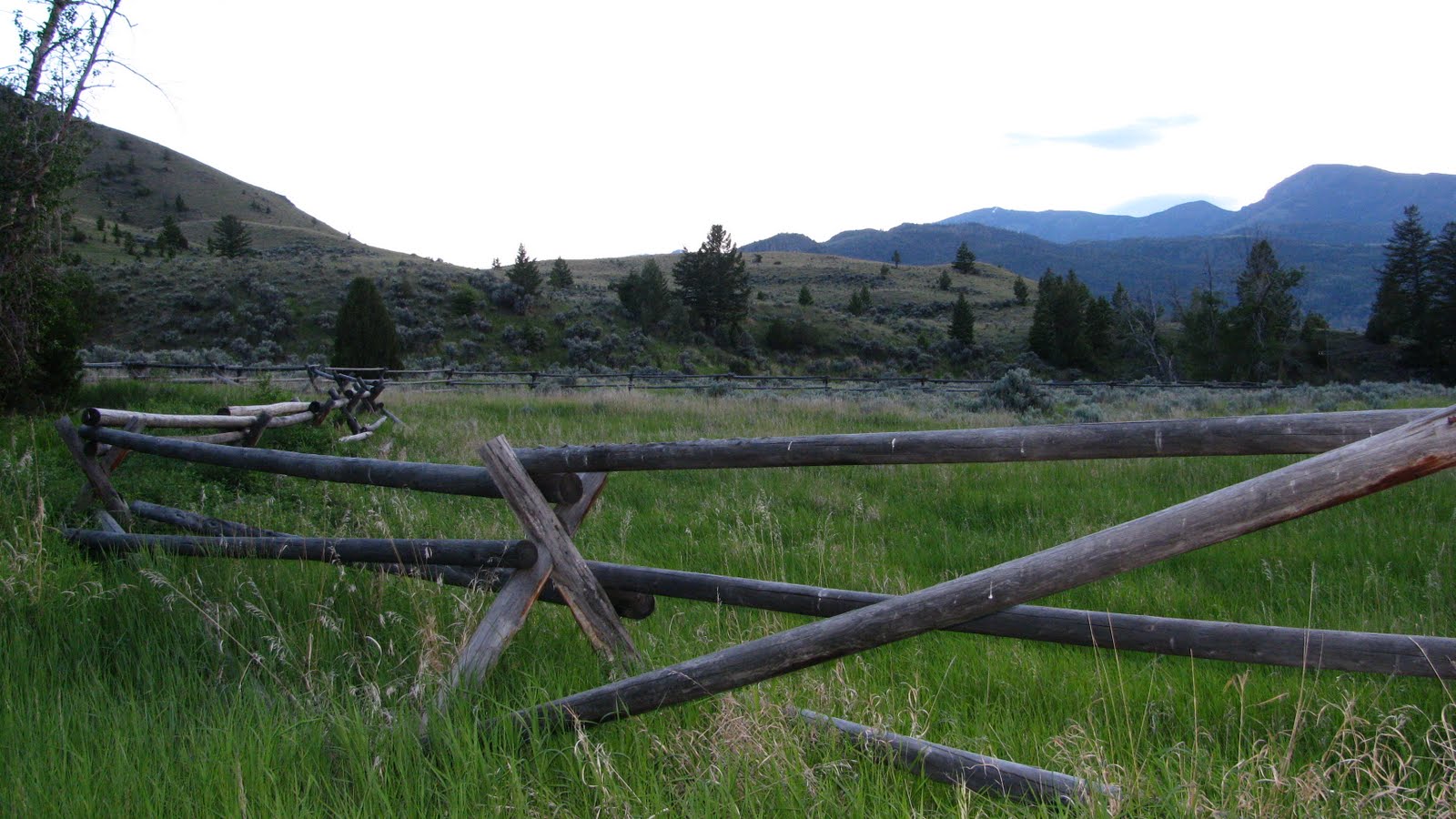 Yellowstone Summer: OTO Ranch