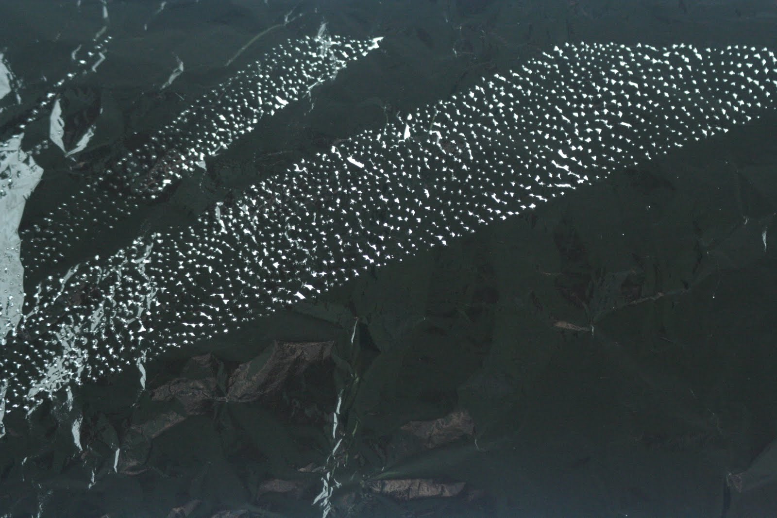 Holly Naylor: Pin Prick pieces