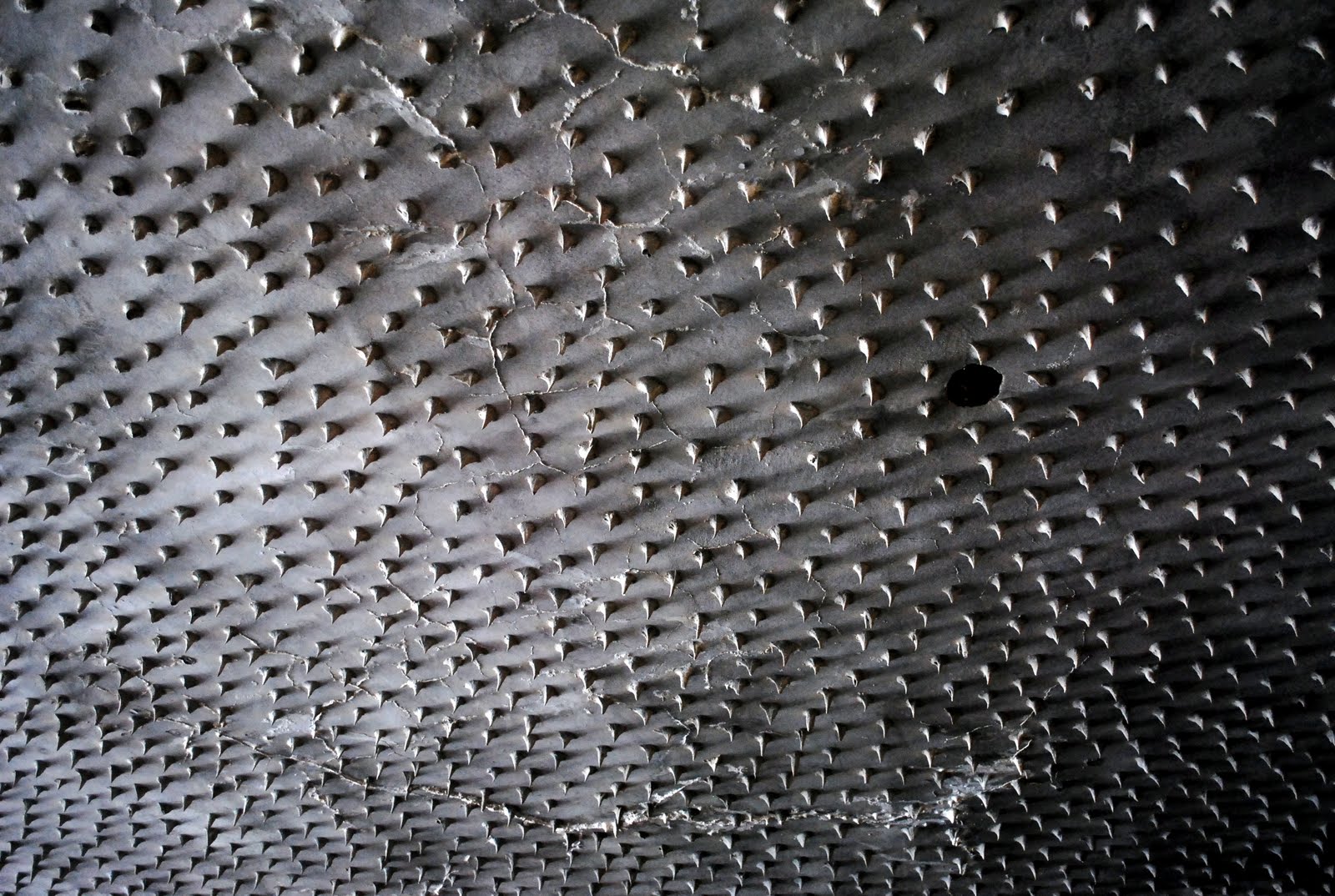 Maria in Taiwan: A turkey and a turtle