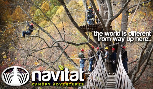 Asheville Business Blog: Discount on Navitat Canopy Tours